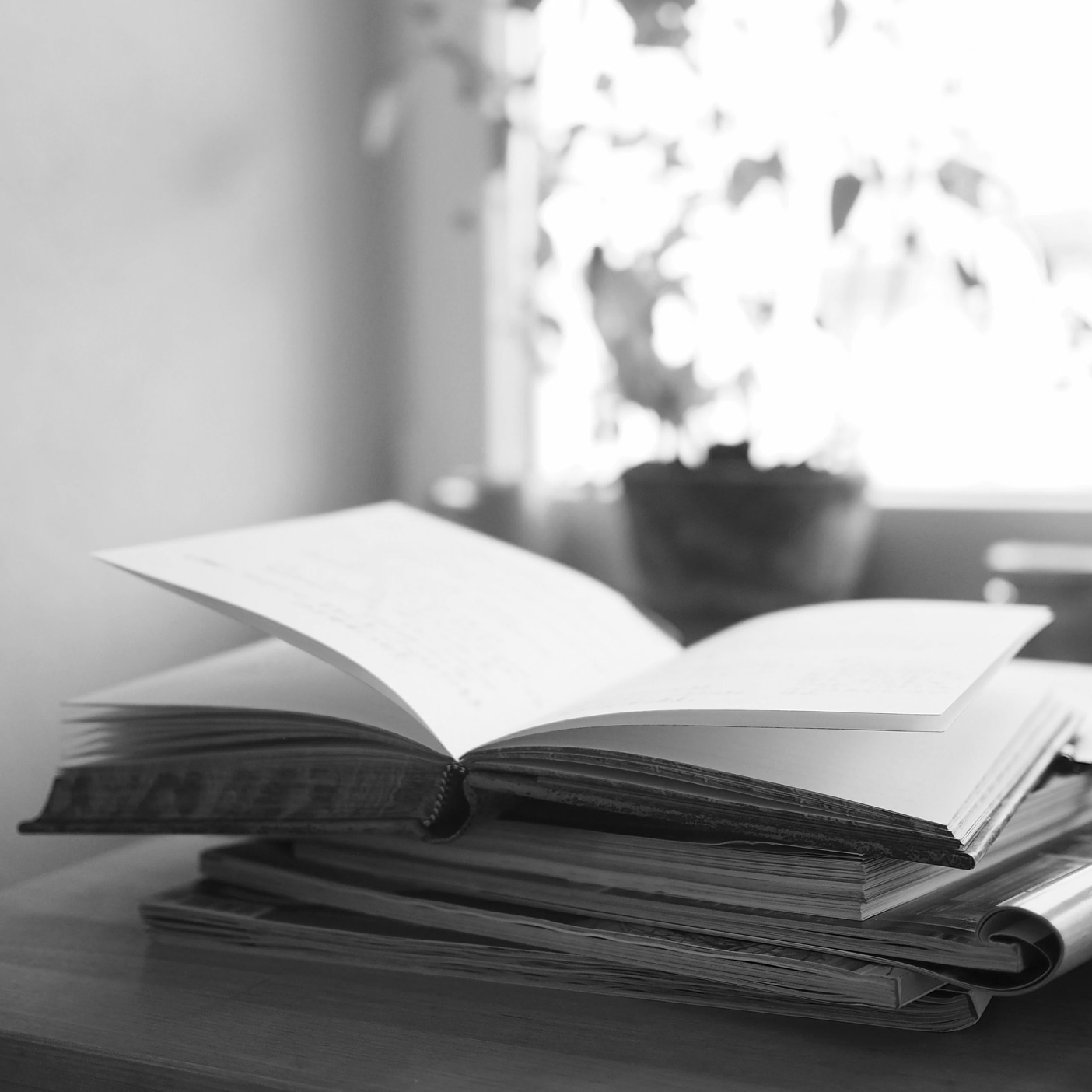 Financial Fluency: Discovering the Four Financial Languages